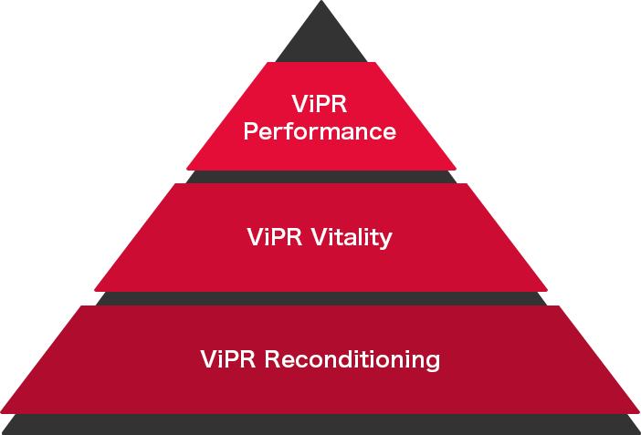 ViPR LMT COMBINE 認定コース（1＋2） | ViPR Japan